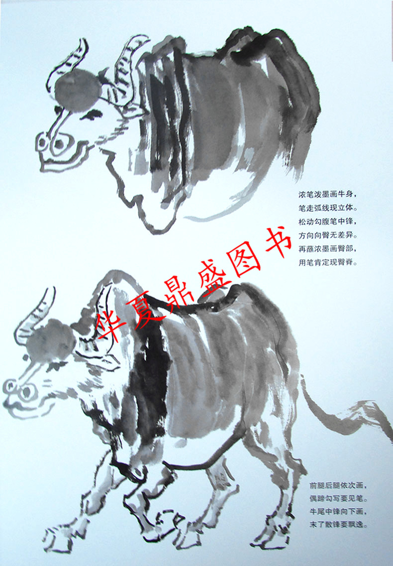 怎么画牛简单的画画一头牛简笔画第2页大山谷图库